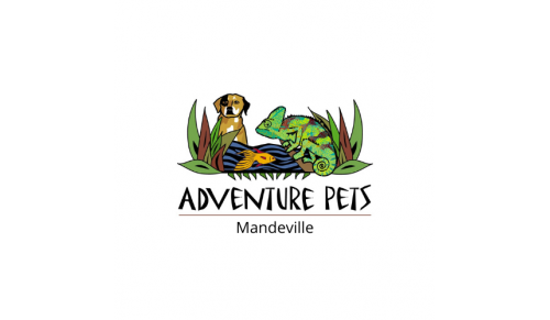 Welcome to Adventure Pets